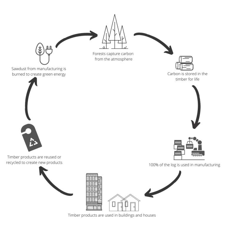 Timber's Circular Economy | ASH